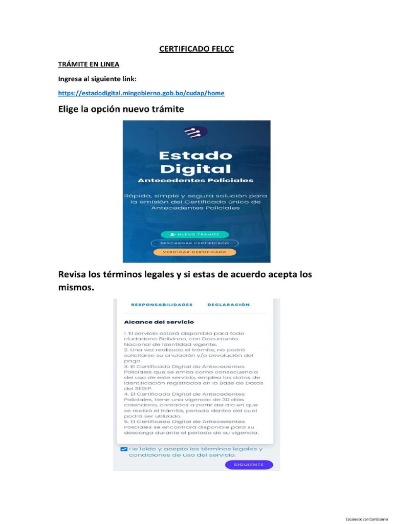 Requisito 6 - Emision Del Certificado Felcc en Linea | PDF