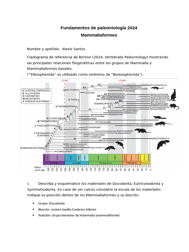 Paleontología de Mammaliaformes 2024 | PDF | Diente | Anatomia dental