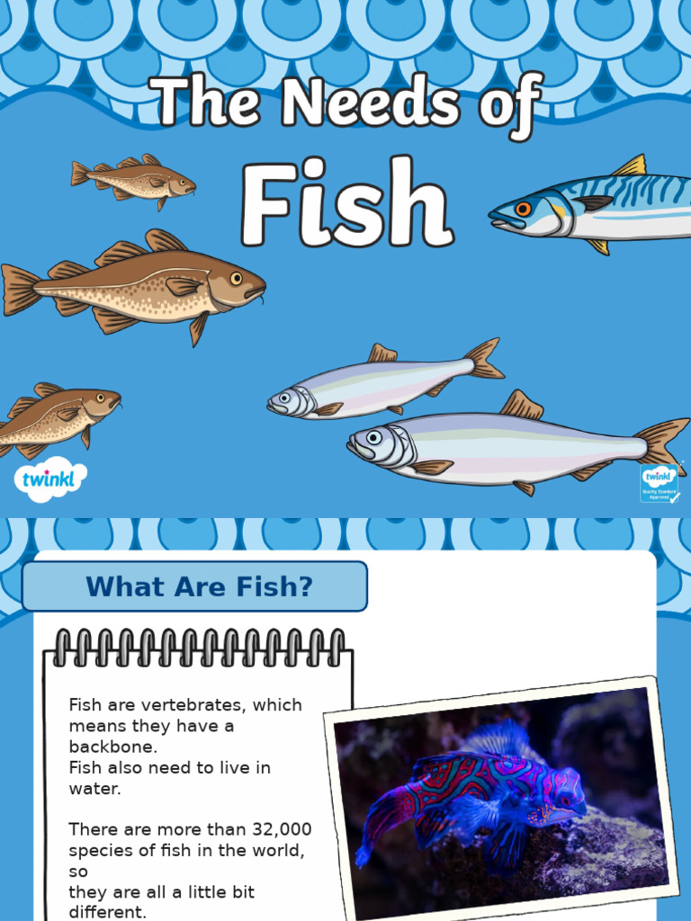 Au SC 2673 The Needs of Fish Powerpoint - Ver - 3 | PDF | Fish | Oceans