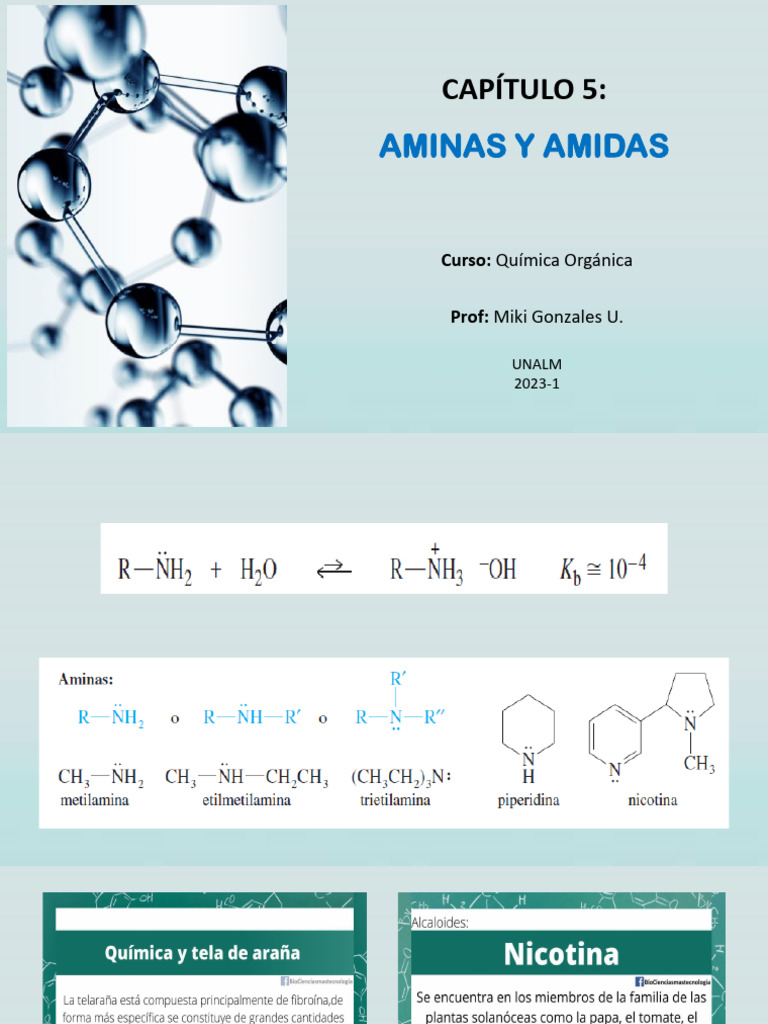 Aminas y Amidas en Química Orgánica | PDF | Amina | Amida