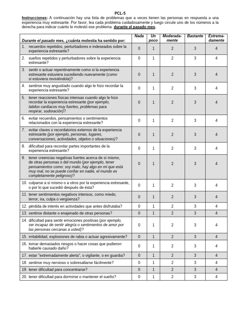 Pcl 5 Planilla | PDF | Experiencia | Ira