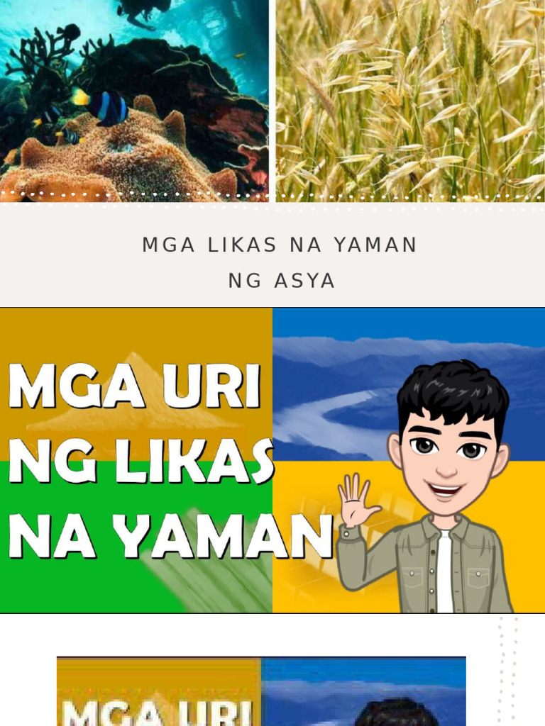 AP7 - Likas Na Yaman | PDF