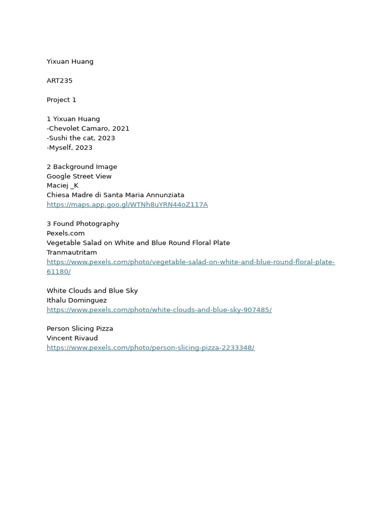 ART235 Project 1 Yixuan Huang Citations | PDF