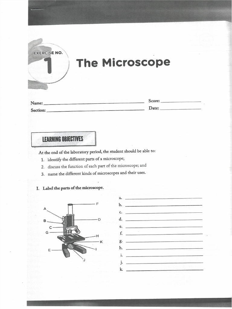 Activity 2 - Micros | PDF