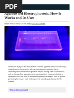 How To Read, Interpret and Analyze Gel Electrophoresis Results | PDF ...