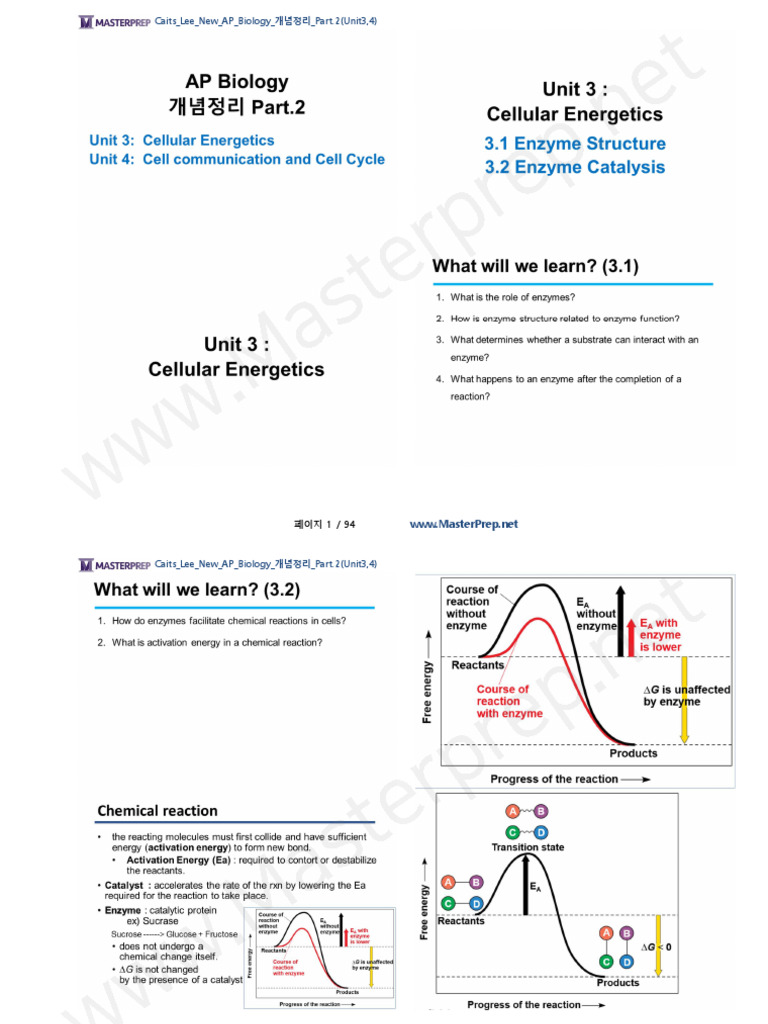 Caits Lee New AP Biology 개념정리 Part.2 (Unit3,4) Revised | PDF