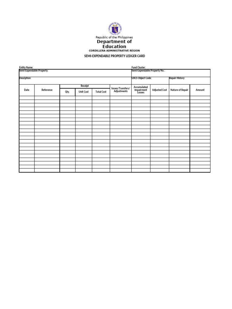 Semi-Expendable Property Ledger Card | PDF