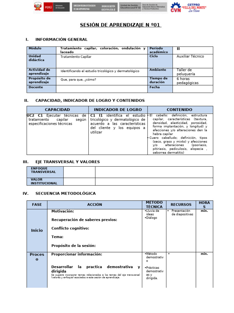 Modelo de Sesion de Aprendizaje 2025 | PDF | Aprendizaje | Modificación de comportamiento