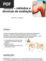 Testes Avaliativos de Mmss (Teste de Patte, Gerber) | PDF | Dor ...
