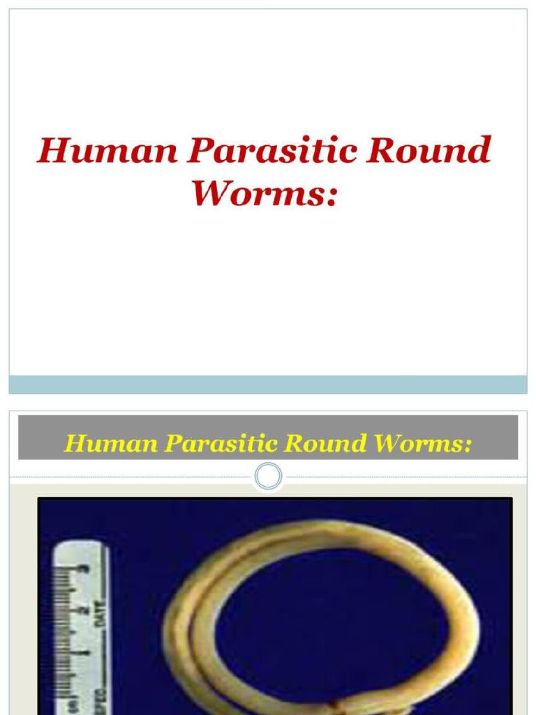 Human Parasitic Round Worms - 20250311 - 212327 | PDF