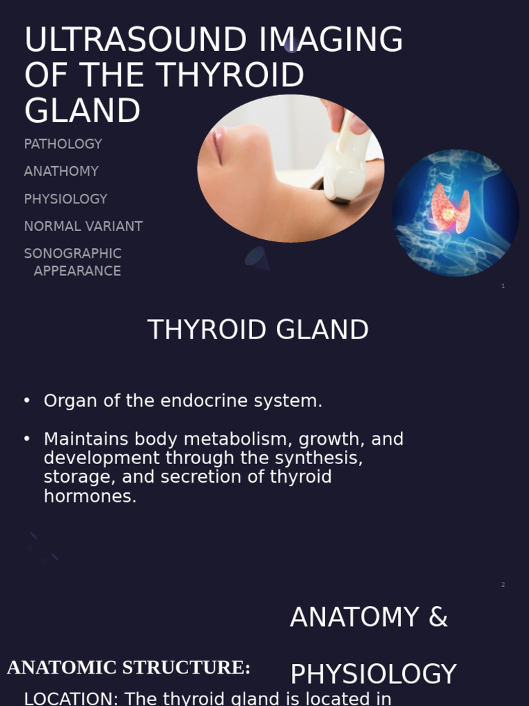 Ultrasound Thyroid Gland | PDF | Thyroid | Human Body