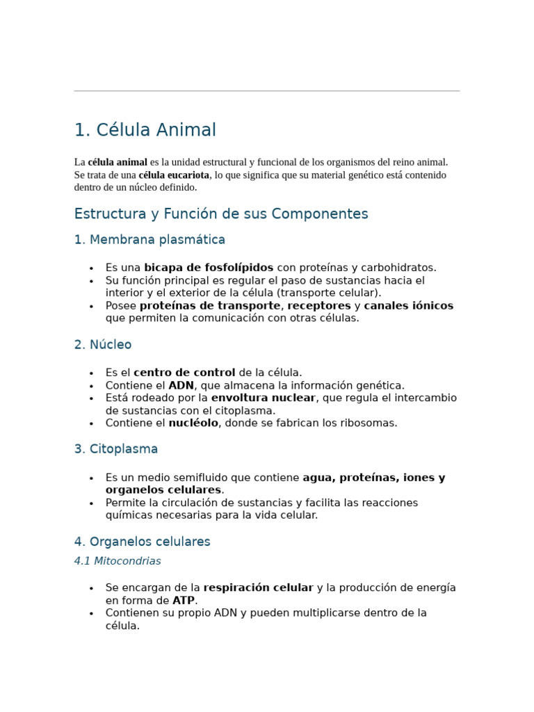 Célula Animal: Estructura y Función de Sus Componentes | PDF ...