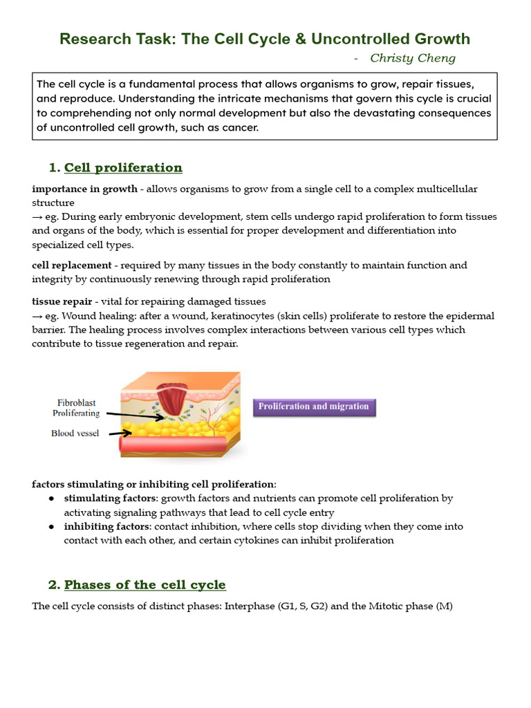 AHL Cell Cycle Research Task | PDF | Cell Cycle | Cell Growth