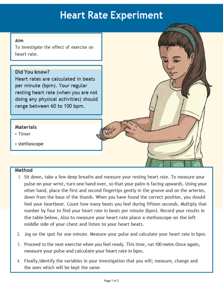 Exercise Impact on Heart Rate Experiment | PDF | Heart Rate | Heart