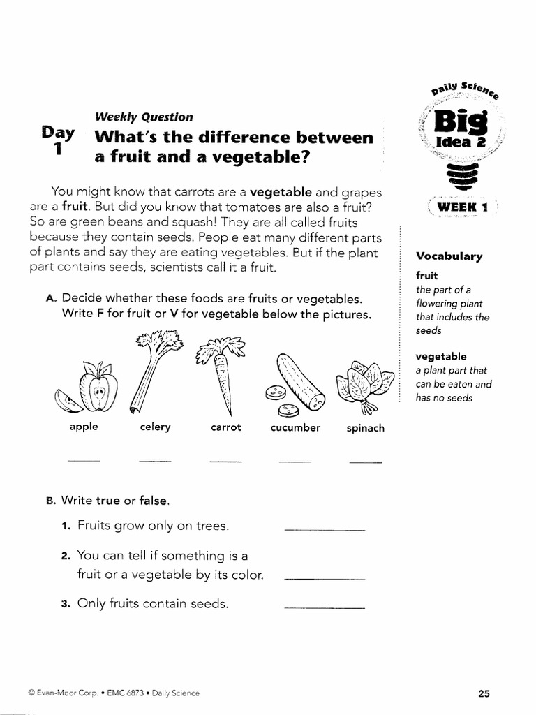 Big Idea 2 | PDF