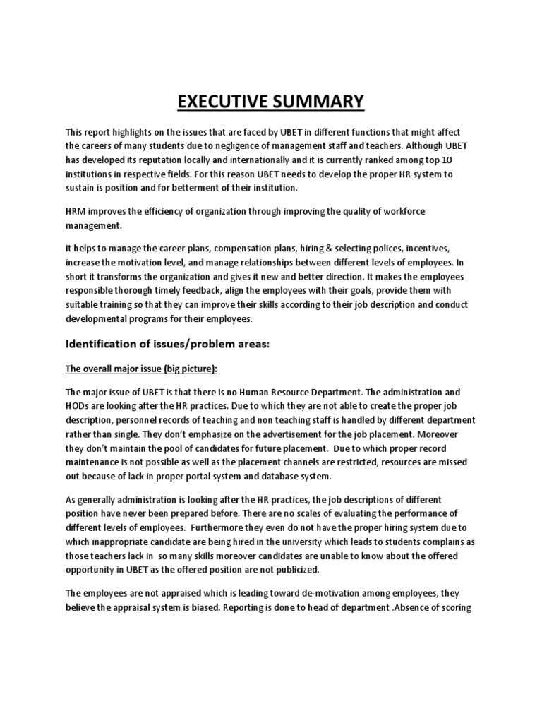 Executive Summary: Identification of Issues/problem Areas | PDF ...