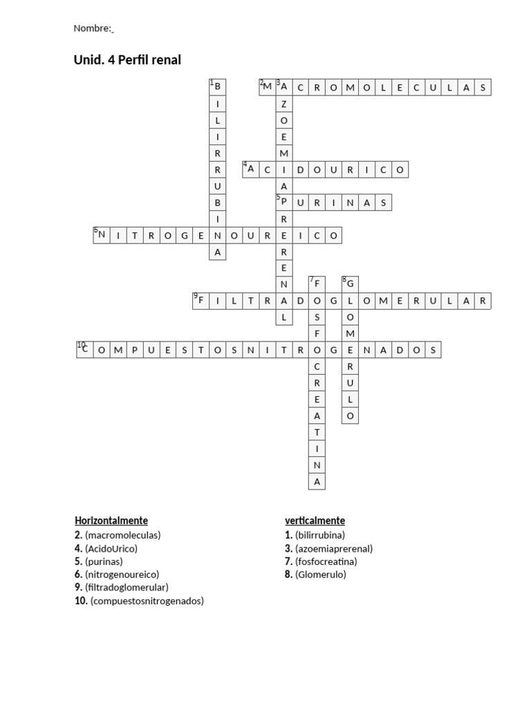 Perfil Renal 4 | PDF