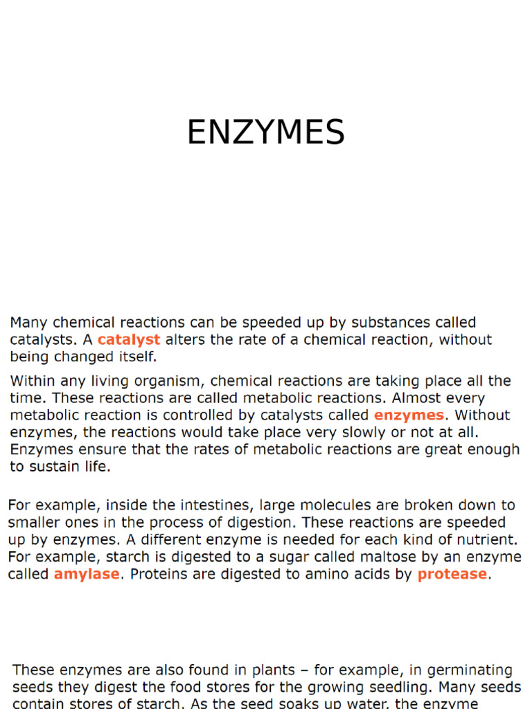 5. Enzymes Ppt | PDF