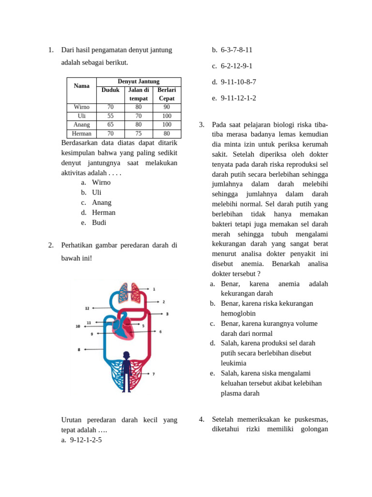Soal Sistem Sirkulasi | PDF