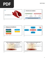 Bula Dexfer | PDF | Ferro | Gravidez