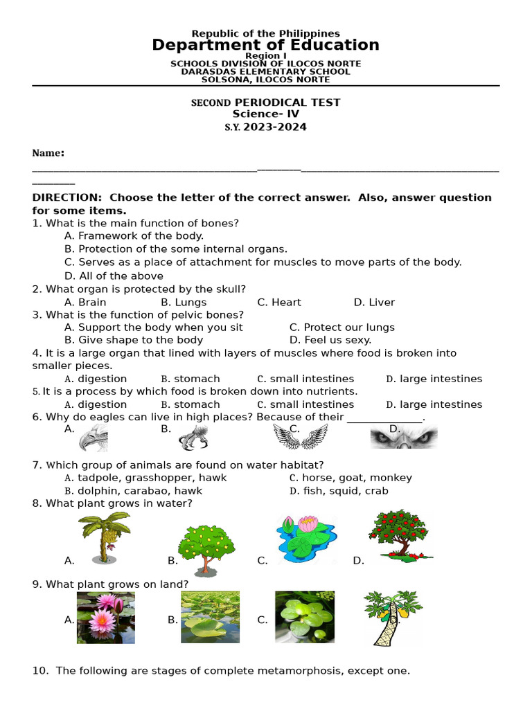 Q2 - SCIENCE 4 - Test Paper | PDF | Gastrointestinal Tract | Digestion