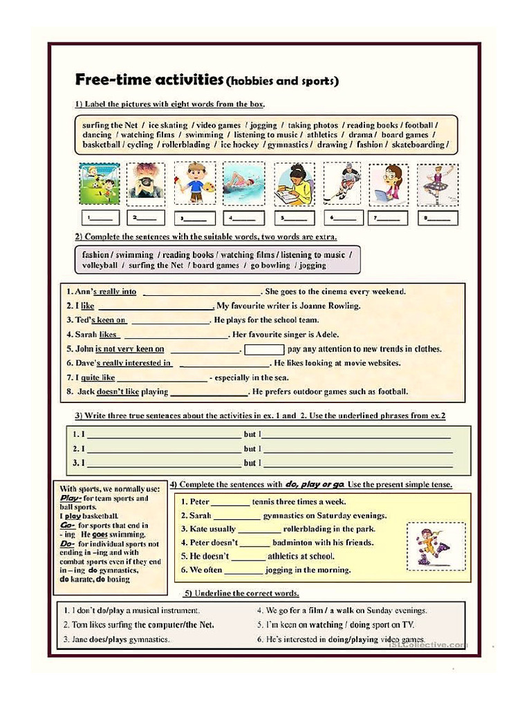 Exercise Hobby | PDF