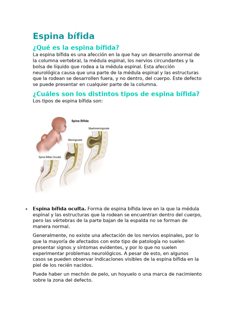 Espina Bífida: Tipos, Causas y Tratamientos | PDF | Especialidades ...
