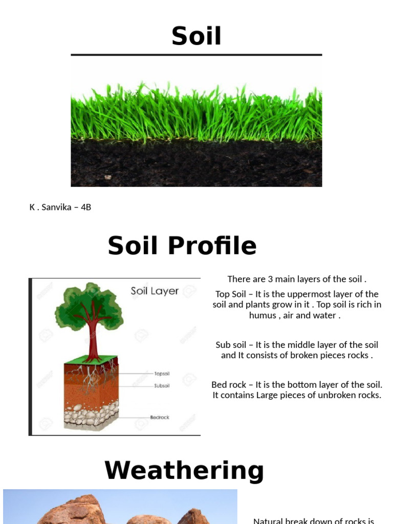 All About Soil | PDF