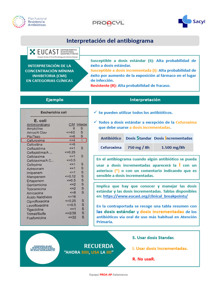 Interpretacio¿n Del Antibiograma-Infografia | PDF | Especialidades ...