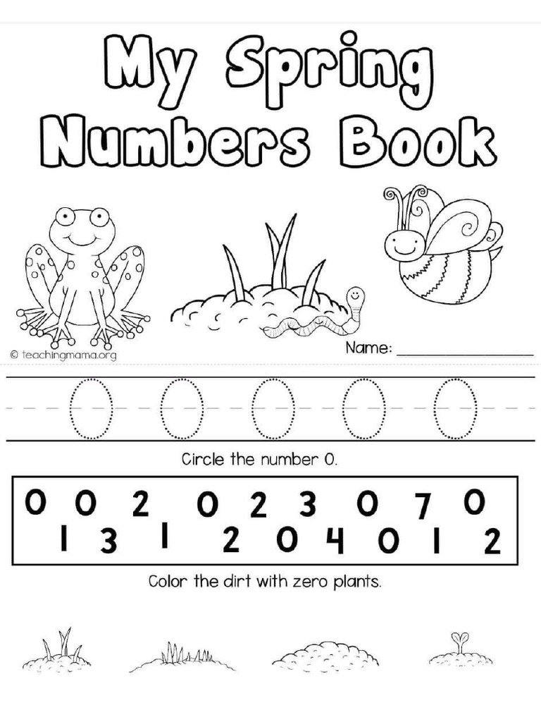 My Numbers Book | PDF