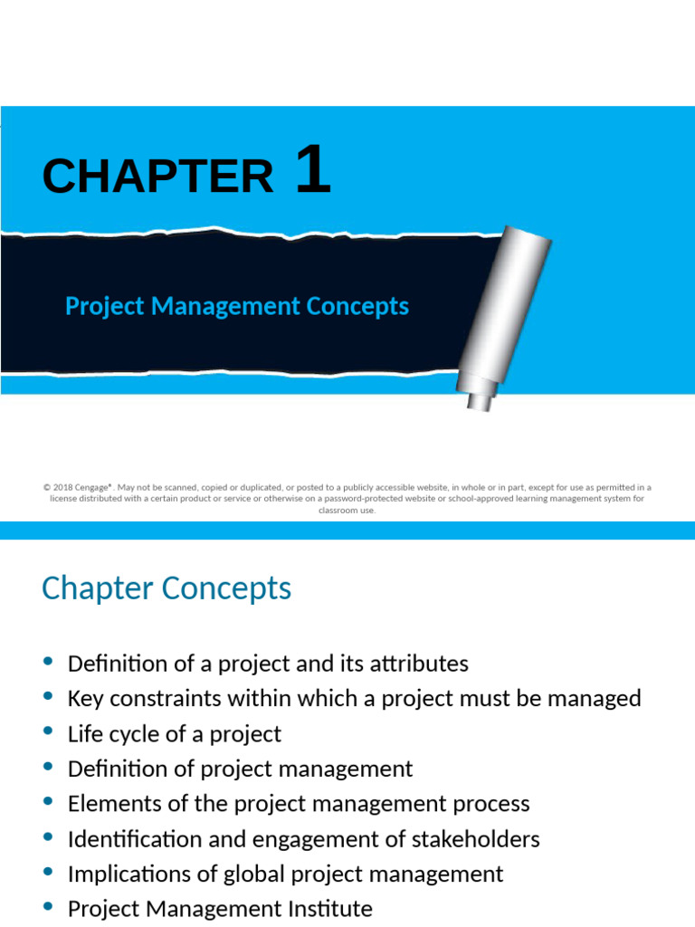 BUS 294 PM Chapter 1 Upd | PDF | Project Management | License