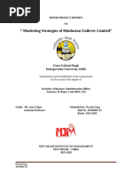 HUL Project Report 2024 25 Final | PDF