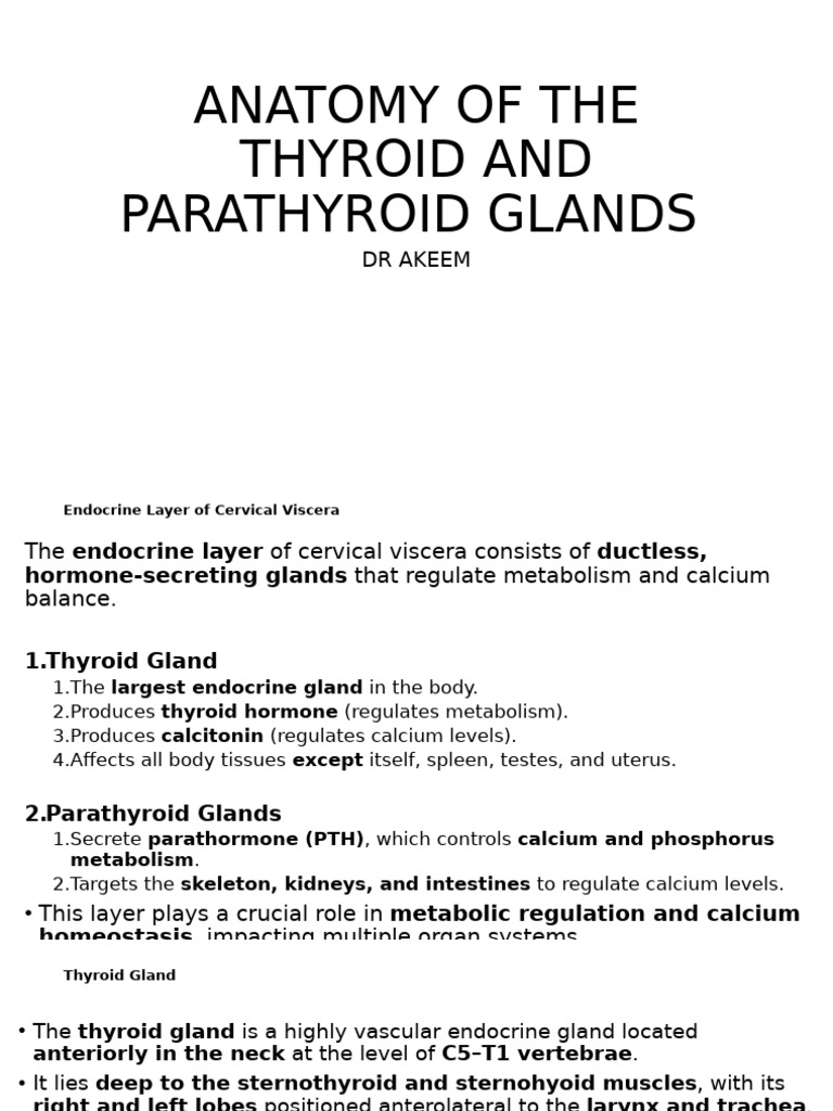 Thyroid and Parathyroid Glands Anatomy | PDF | Thyroid | Parathyroid Gland