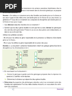 Fiche de Révision EB9 (Examen) | PDF