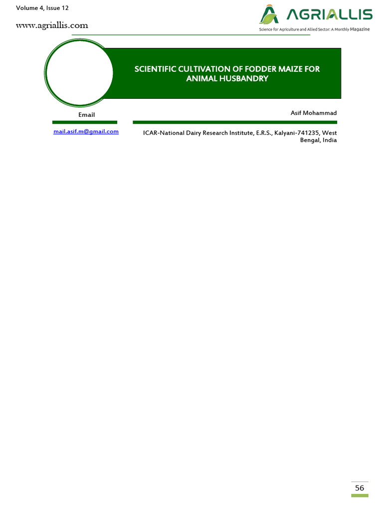 Scientific Cultivation of Fodder Maize For Animal Husbandry | PDF ...