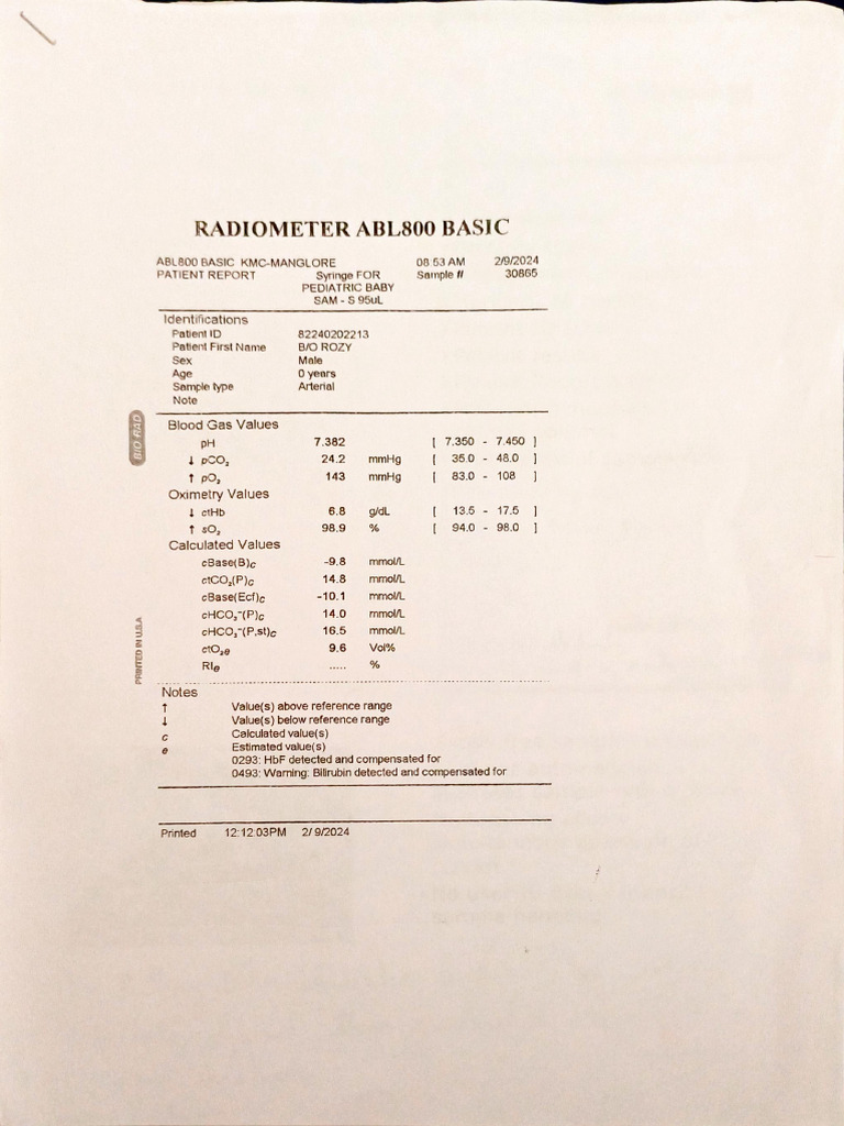 Abg Analyser | PDF
