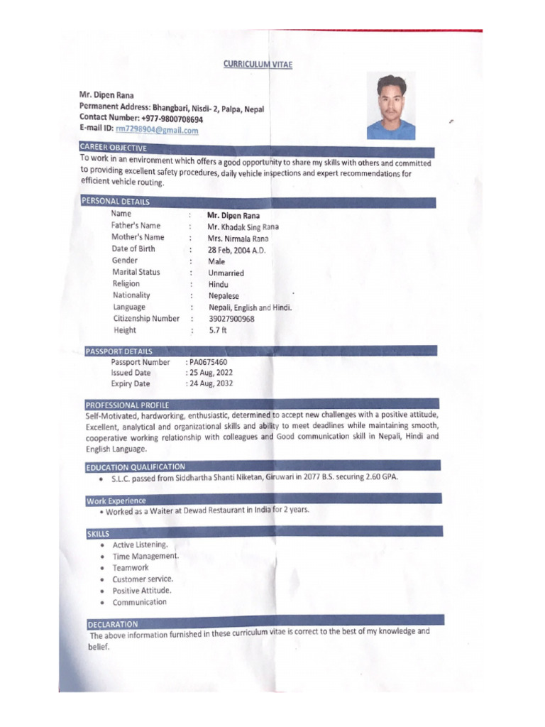 Curriculum Vitae | PDF