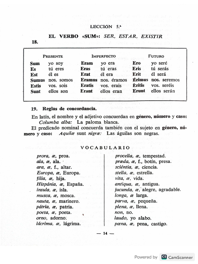 El Verbo SUM | PDF