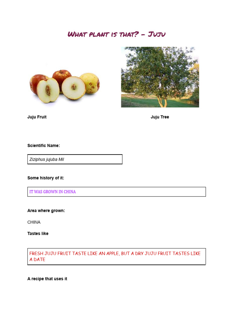 What Plant Is That? - Juju | PDF