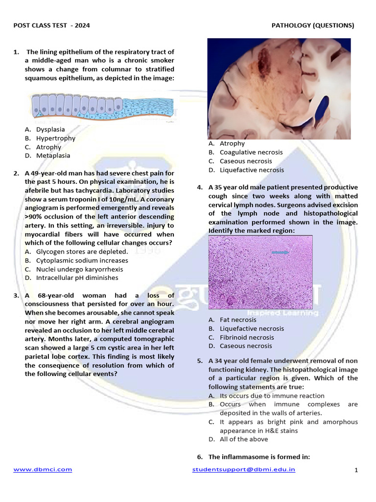 Pathology Questions for 2024 Test | PDF | Coagulation | Immunodeficiency
