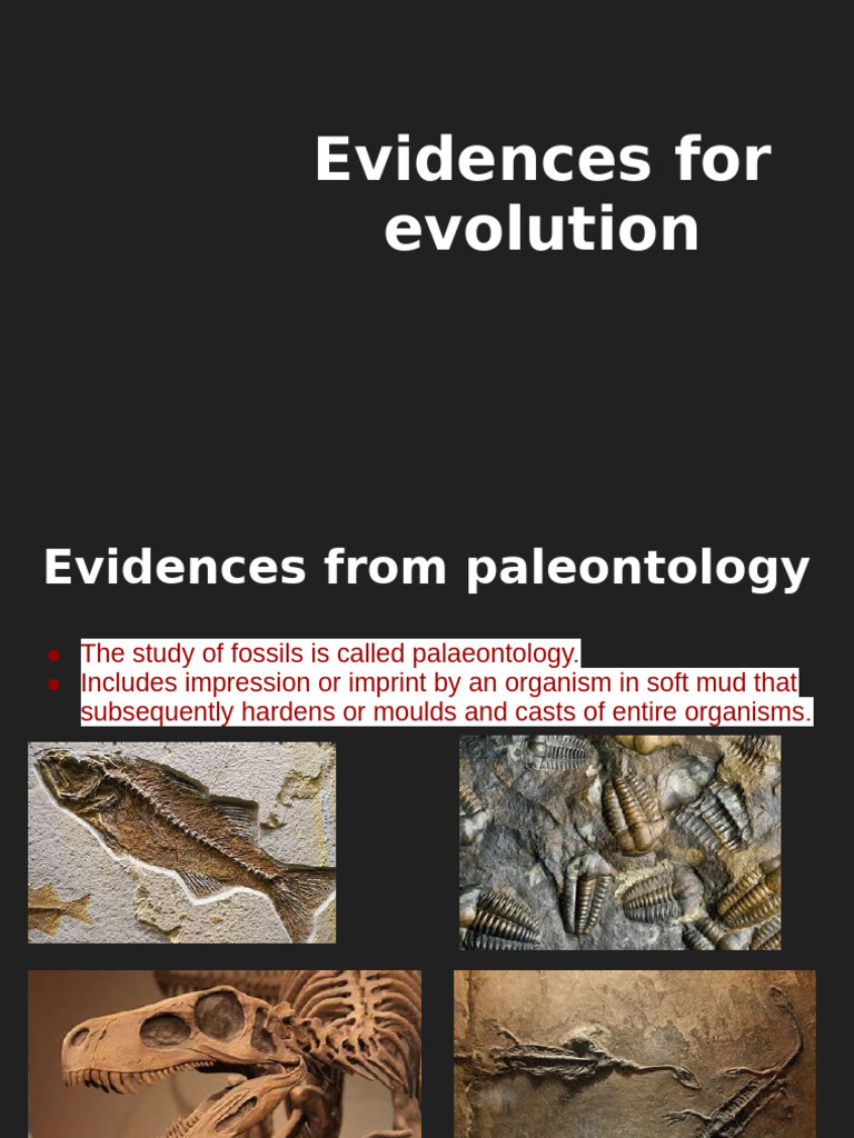 Evidences for Evolution | PDF