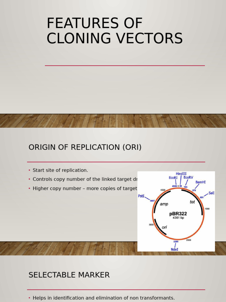 Feature of Cloning Vectors | PDF
