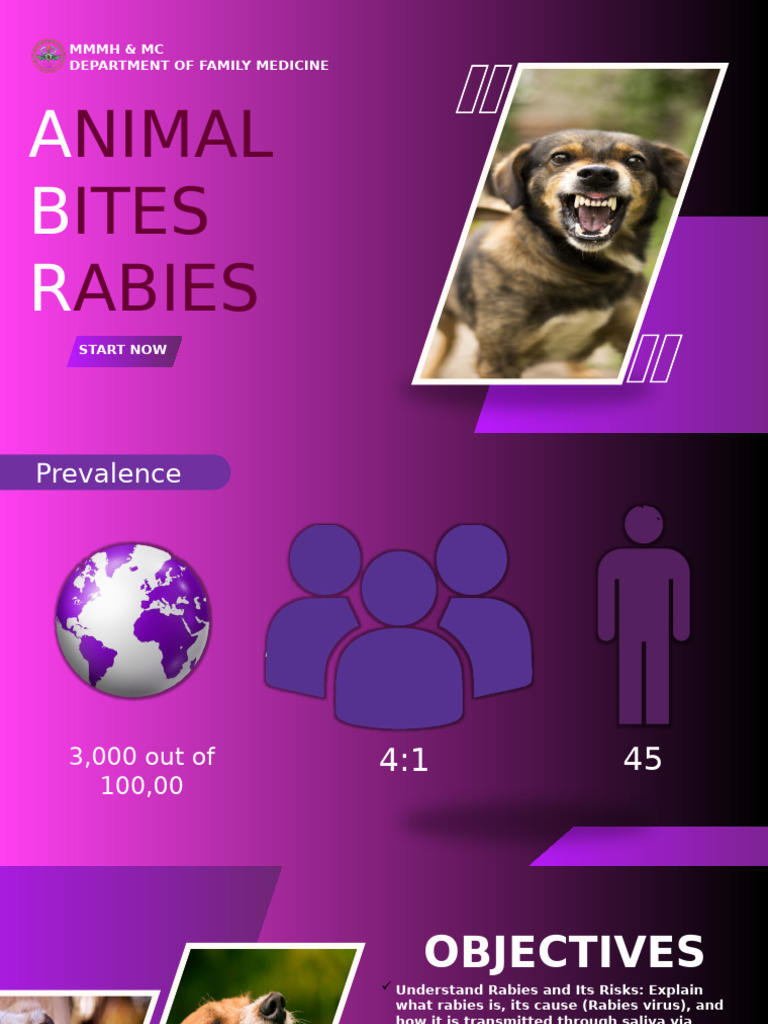 Rabies | PDF | Rabies | Diseases And Disorders