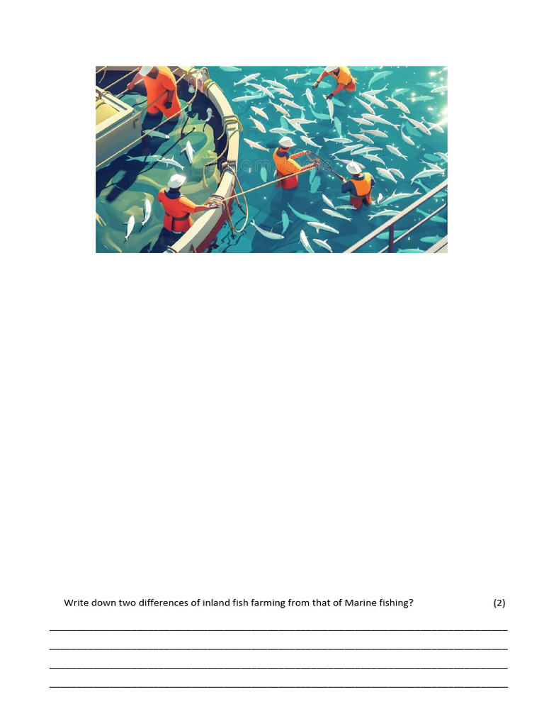 Fishing Industry Insights and Factors | PDF