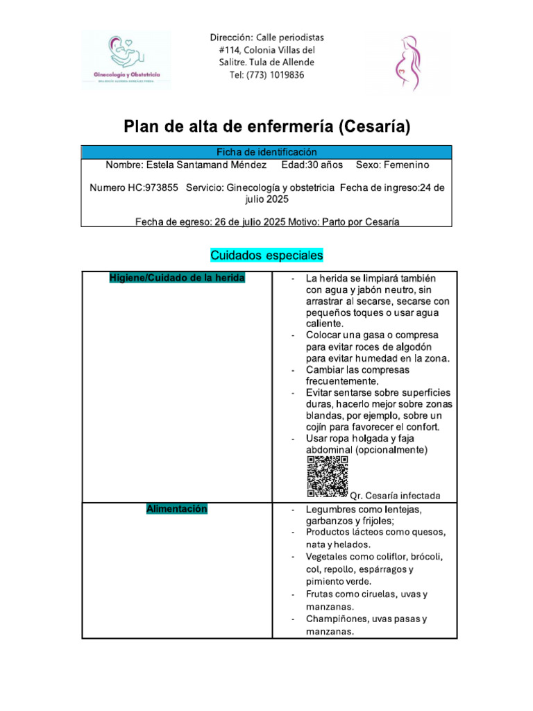 Plan de Alta | PDF