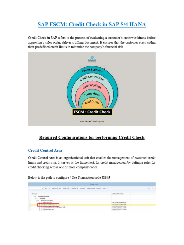 SAP S/4 HANA Credit Check Guide | PDF | Credit | Finance & Money Management