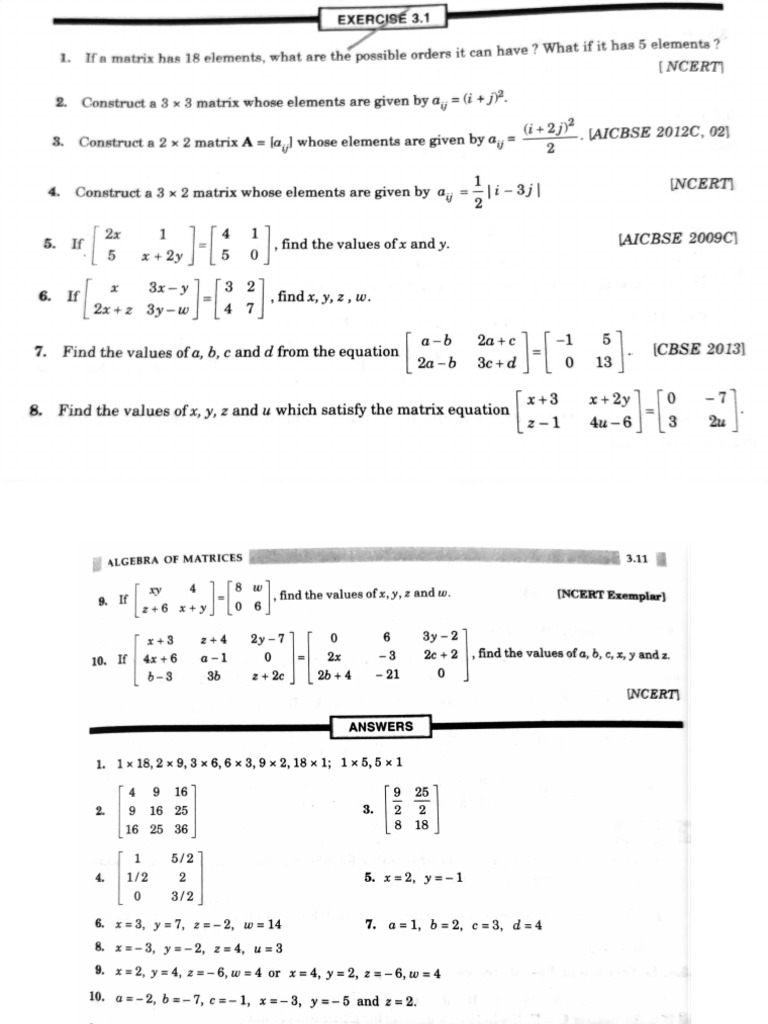 Grade 12 Chapter 3 Matrix 1 | PDF