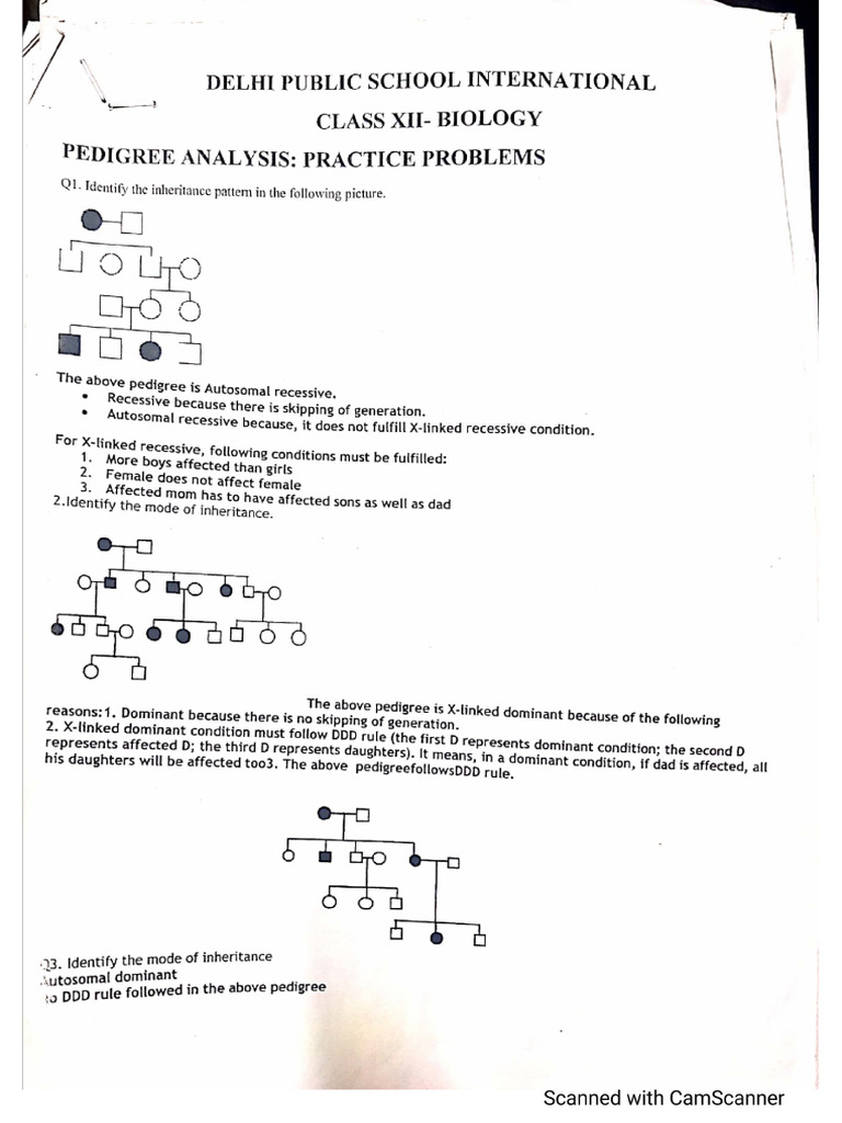 Pedigree Analysis Pdf