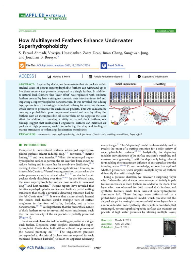 Ahmadi-How Multilayered Feathers Enhance Underwater Superhydrophobicity ...