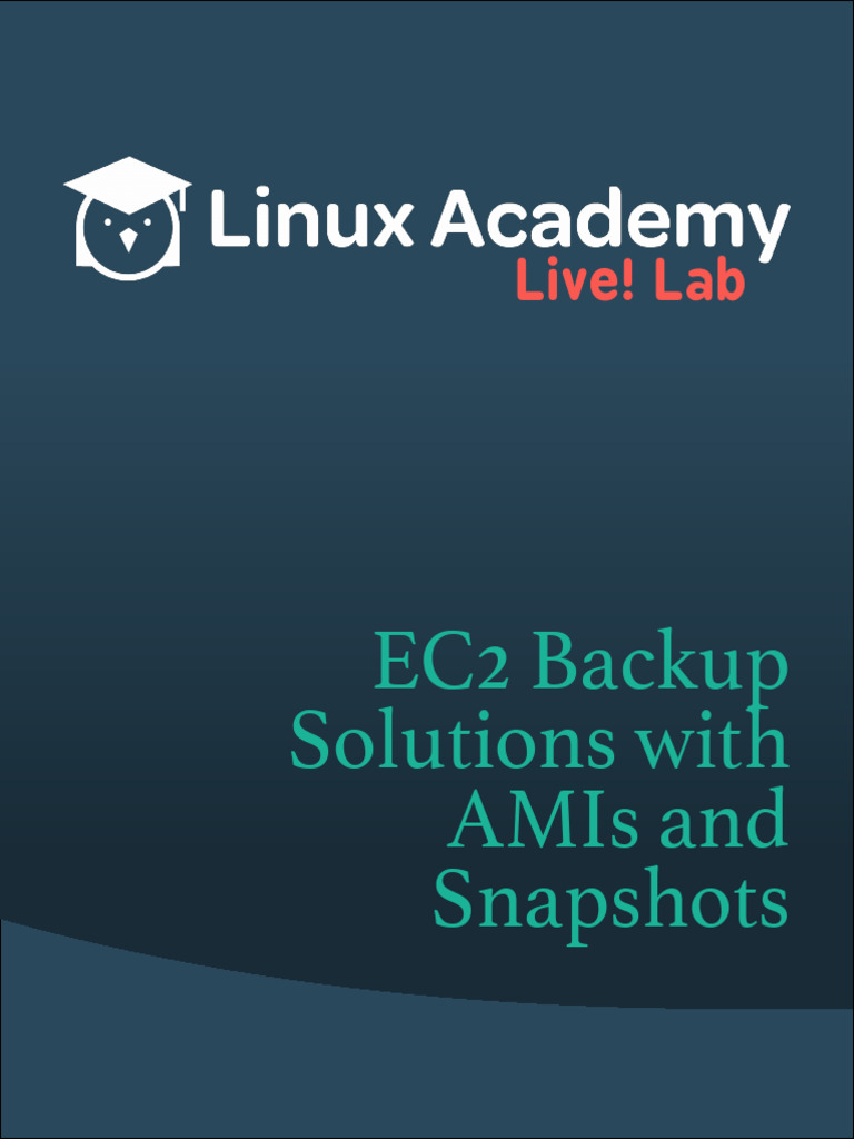 ec2-backup-solutions_1491853378 | PDF | Computing Platforms | Computer Science